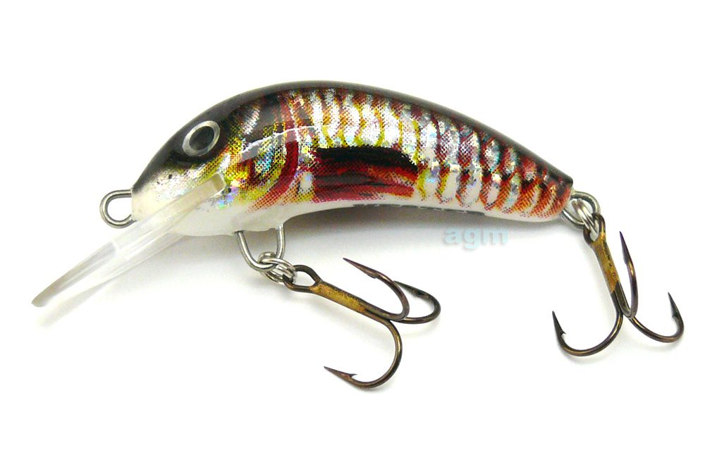 Hester Small Fry Chublet