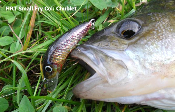 Hester Small Fry - Chublet