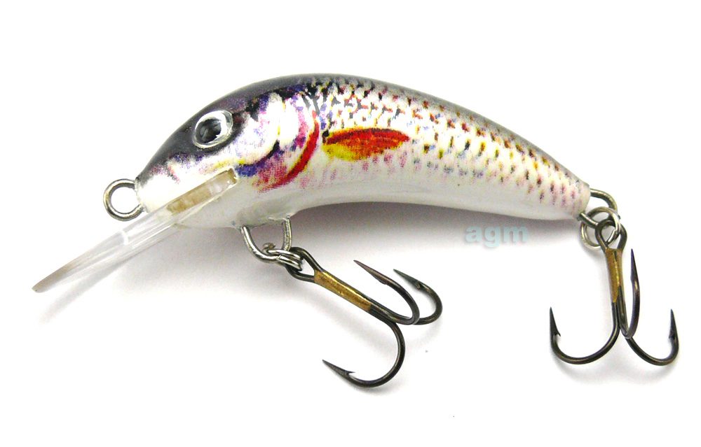 Hester Small Fry Roach