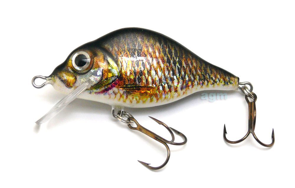 Hester 2 Carp Floater - Bar Fish